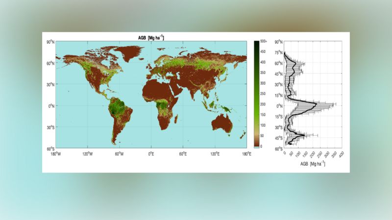 Deforestation: Aberystwyth Uni satellite maps show global impact - BBC News