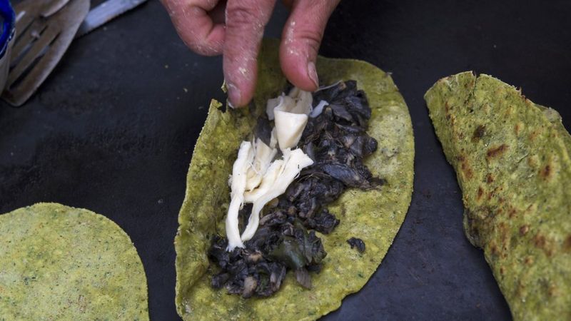 Qué es el huitlacoche y por qué los mexicanos hacen bien en comerlo ...