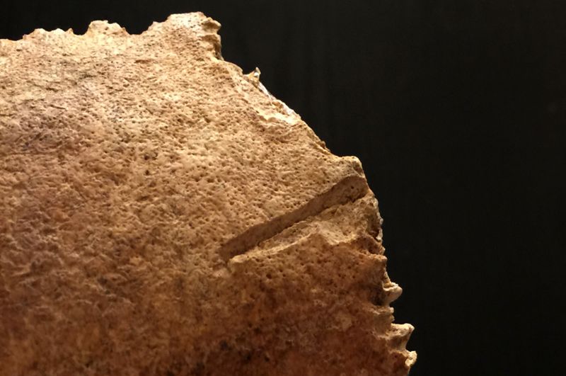 New evidence of Viking life in America? - BBC News