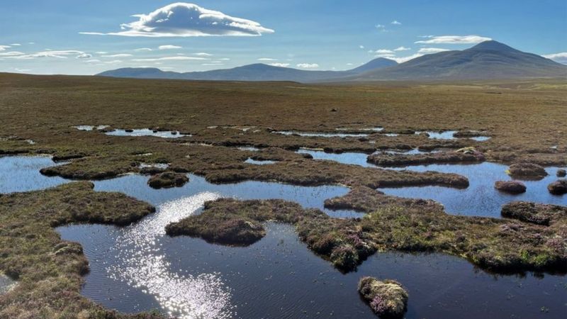 The vast bog that helps fight climate change - BBC News