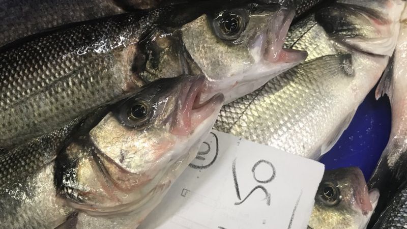 Lowestoft fishing industry 'needs new apprenticeships to grow' - BBC News