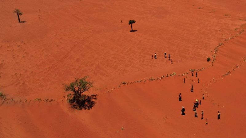 Climate change: More studies needed on possibility of human extinction ...