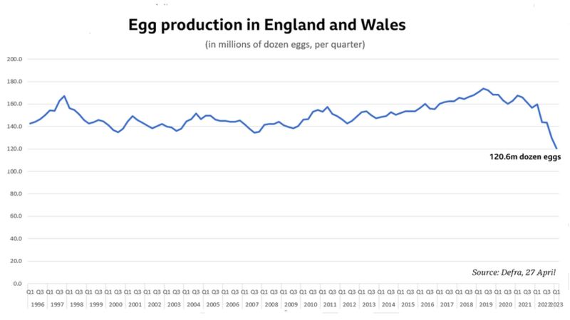 Egg shortages: Warning shortfall could last another year - BBC News