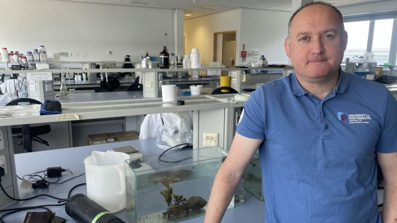 Drugs, pesticides and medicine found in south coast seawater - BBC News