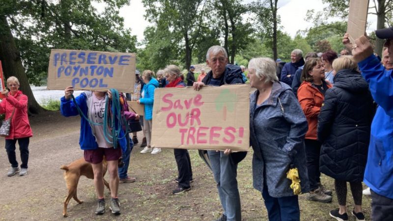 Death sentence for trees in Crick near Daventry is lifted - BBC News