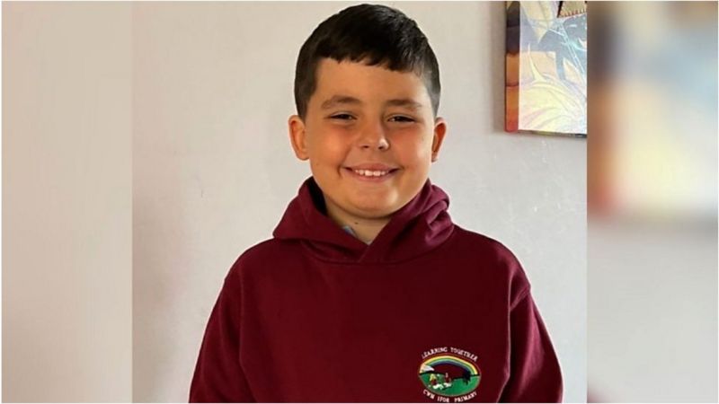 Mum of boy killed by American bully XL dog wants action - BBC News