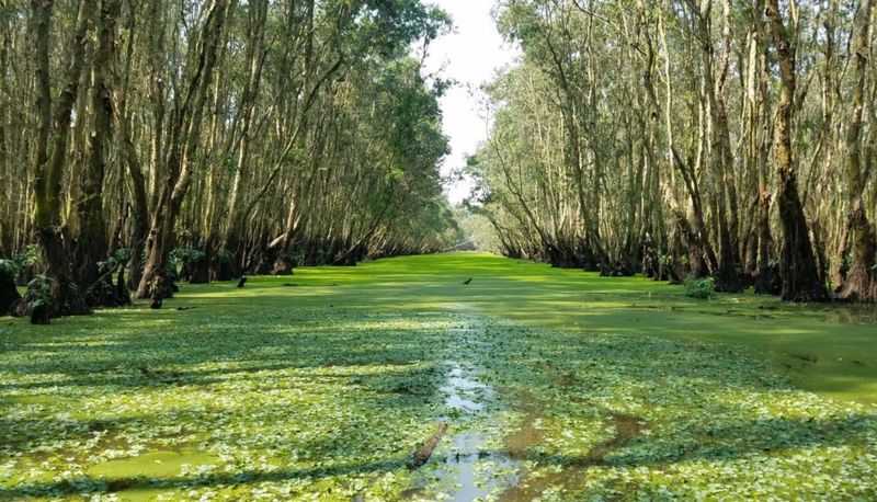 Your pictures on the theme of 'green spaces' - BBC News