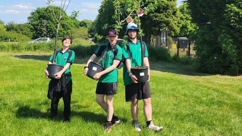 'Tree Amigos' save damaged trees through new Coventry sanctuary - BBC News