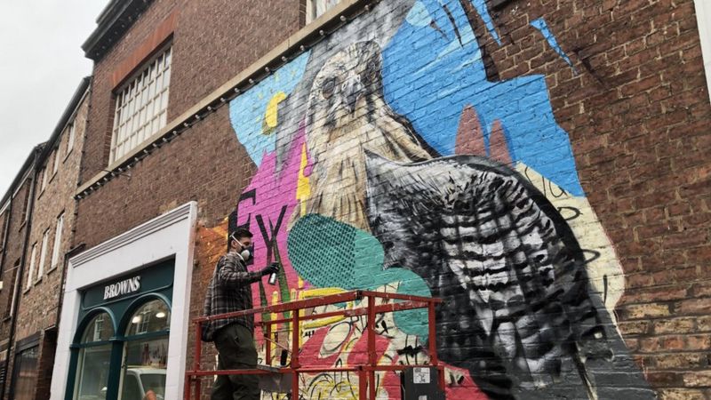 York peregrine falcon mural unveiled to celebrate city's heritage - BBC ...