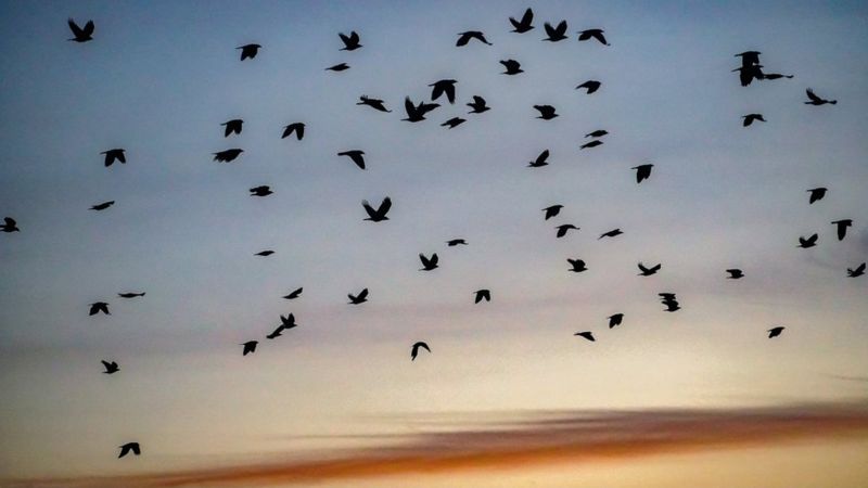 Your pictures of Scotland: 6 - 13 Sept - BBC News