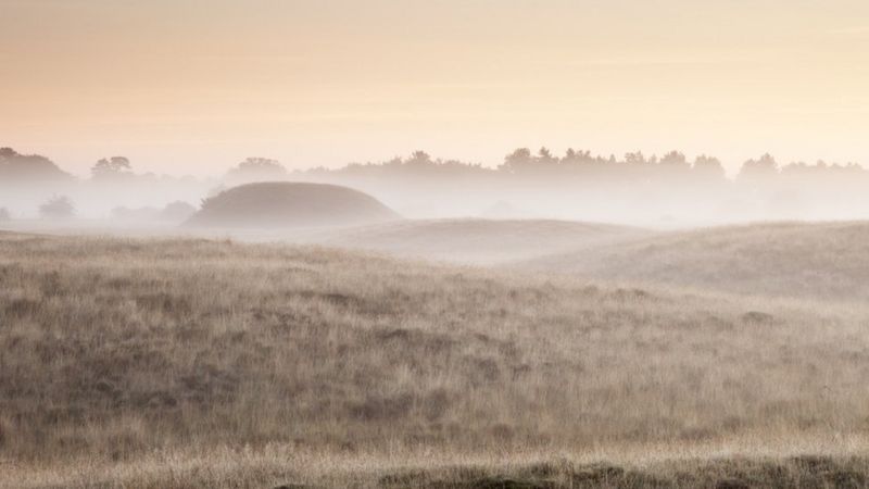 Sutton Hoo: New viewing tower opens at Anglo-Saxon burial ground - BBC News