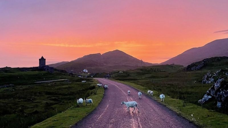 Your pictures of Scotland: 15-22 July - BBC News