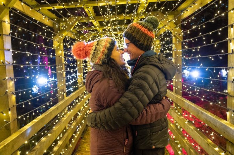 Enchanted Forest light show celebrates 20 years - BBC News