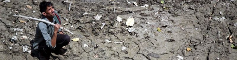 Uttarakhand fires: Battle to douse deadly blaze in Indian state - BBC News