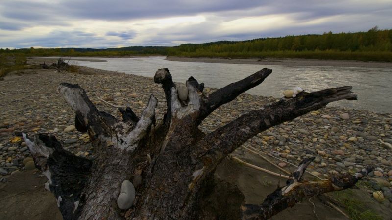 In pictures: Life in Prophet River - BBC News
