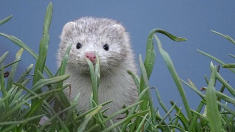 Your pictures of Scotland: 1 April - 8 April - BBC News