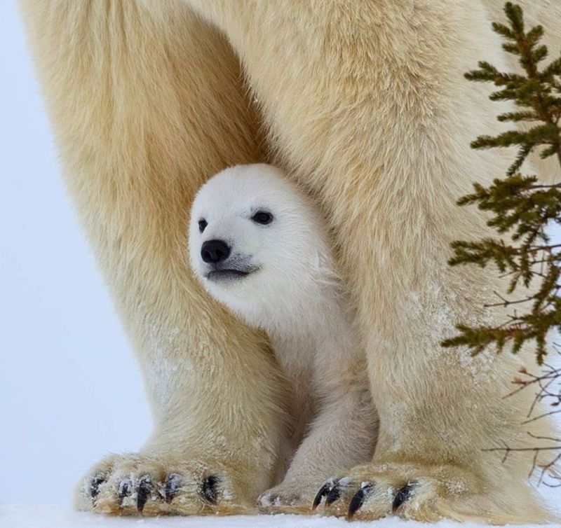 COP26: Photographer to highlight climate change in exhibition - BBC News