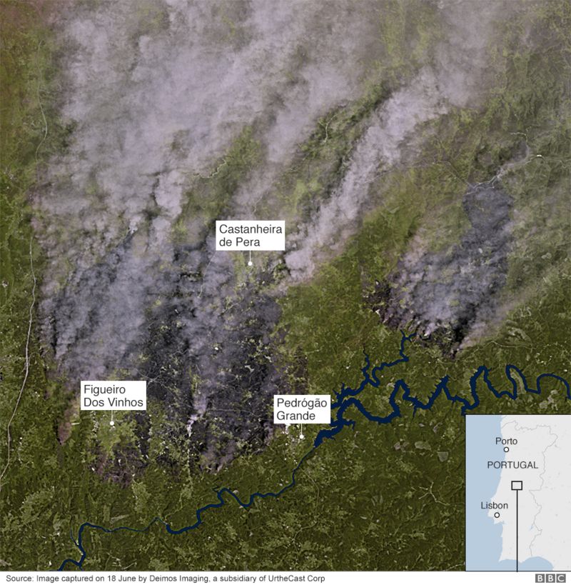 Portugal forest fire: 12 survive by hiding in a water tank - BBC News