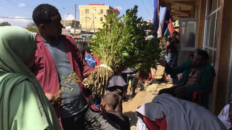 Daldala jimaa: Michooma Awwadaayi fi jimaa, hamma yaaddaniin olitti ...