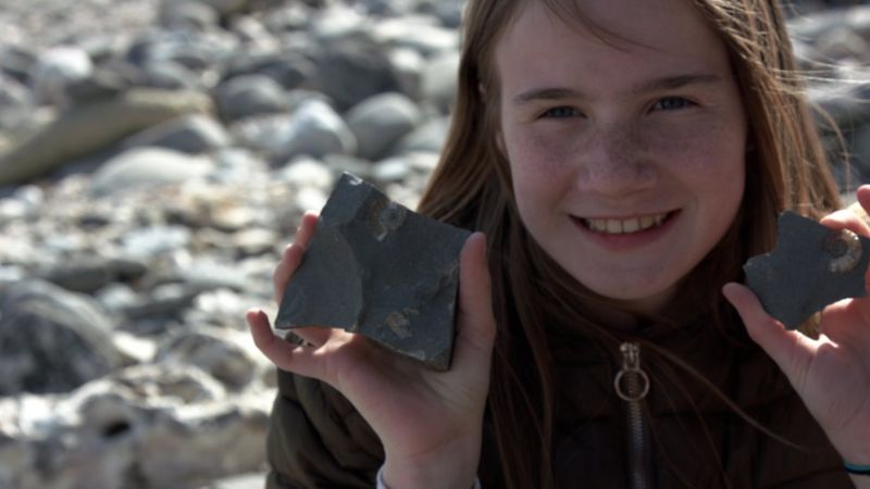 Mary Anning: Lyme Regis statue of fossil-hunting pioneer approved - BBC ...