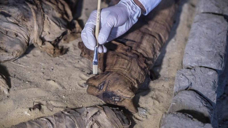 Egypt cat mummies discovered in ancient tombs - BBC News