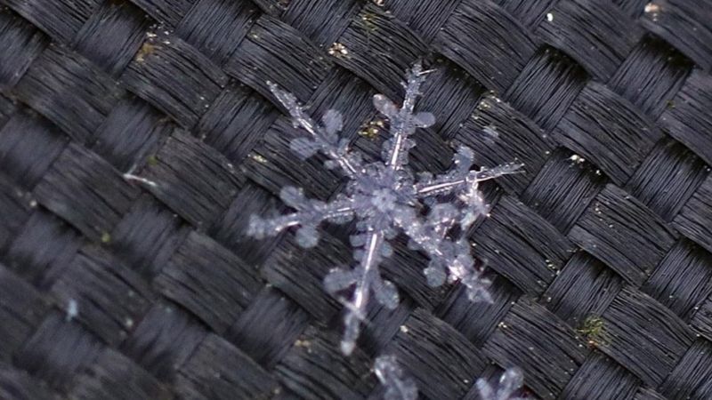 Beautiful snowflakes photographed by BBC Weather Watchers - BBC Weather
