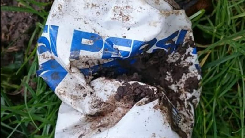 Marathon bar wrapper among litter pick finds in Wickford - BBC News