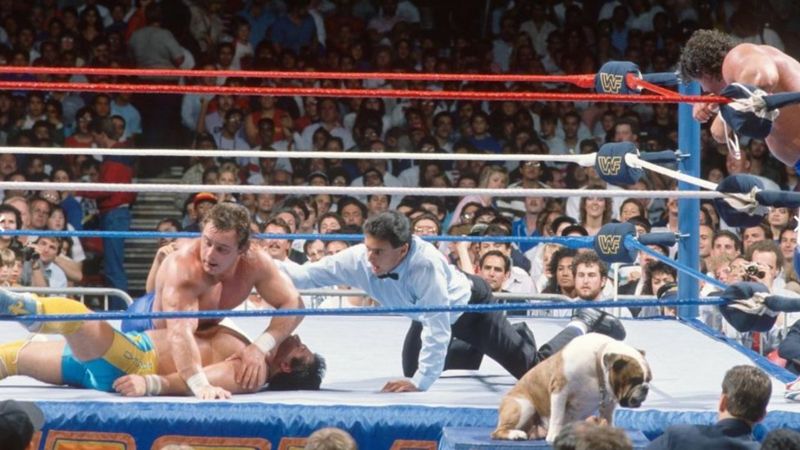 'Dynamite Kid' wrestler Thomas Billington dies on 60th birthday - BBC News