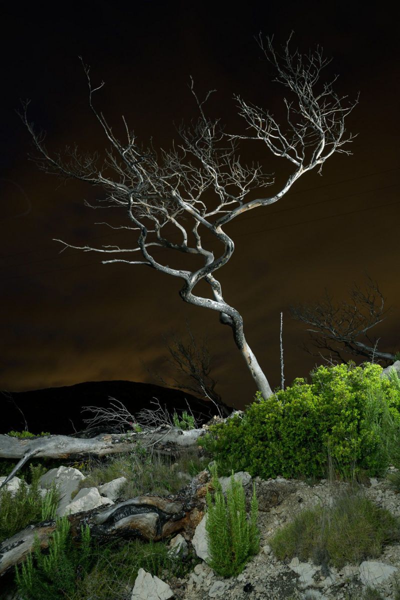 Earth Photo winners announced - BBC News