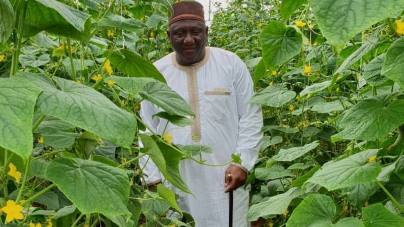 Why Nigeria has restricted food imports - BBC News