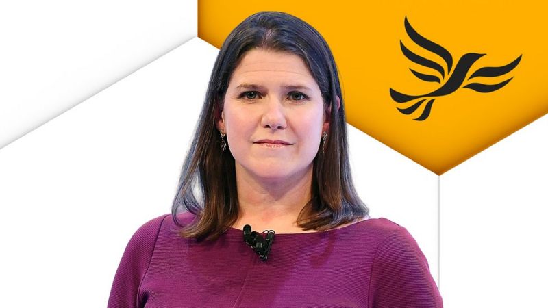 Liberal Democrat manifesto 2019: 12 key policies explained - BBC News