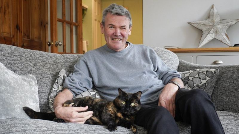 National Cat Awards 2023: Meet the finalists! - BBC Newsround