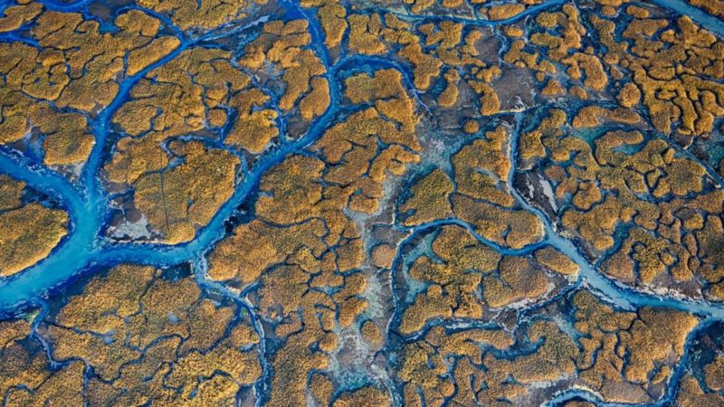 Protect our ocean 'to solve challenges of century' - BBC News