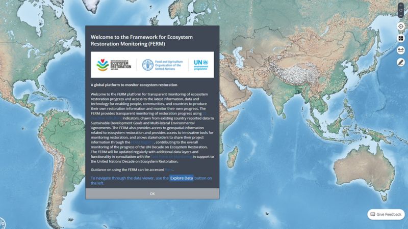 The space tech helping to tackle deforestation - BBC News
