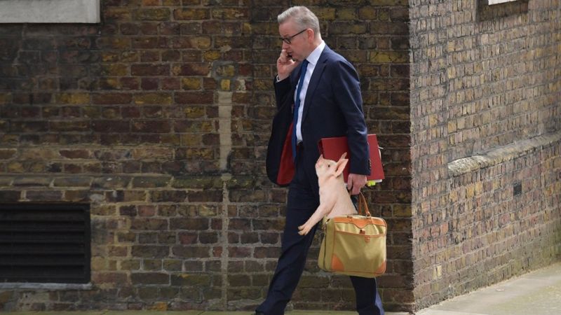 Brexit: What do elephant traps and poking pigs have to do with it ...