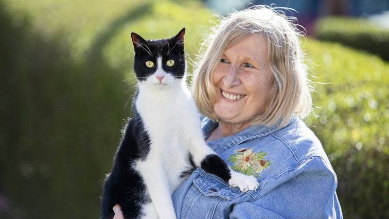 National Cat Awards 2023: Meet the finalists! - BBC Newsround
