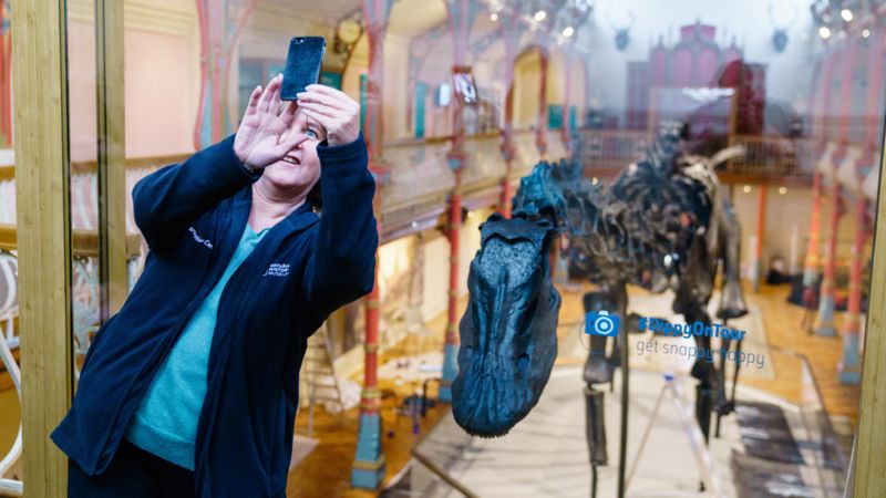 Dippy: 'The people's dinosaur' hits the road - BBC News