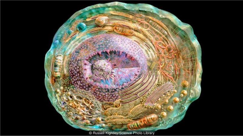 As teorias para o surgimento das primeiras células - e da vida na Terra ...