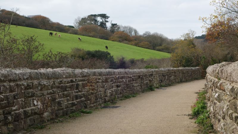 First Saints Trail cycle routes open in Cornwall - BBC News