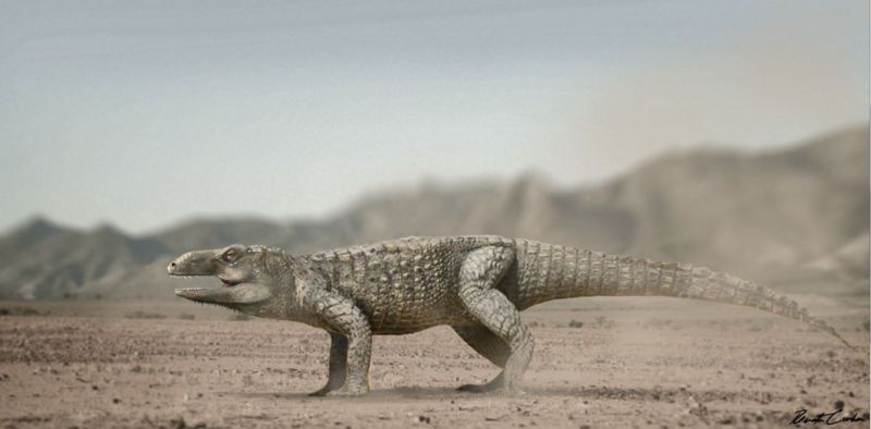 Descoberta nova espécie de réptil que viveu no Brasil há 237 milhões de ...