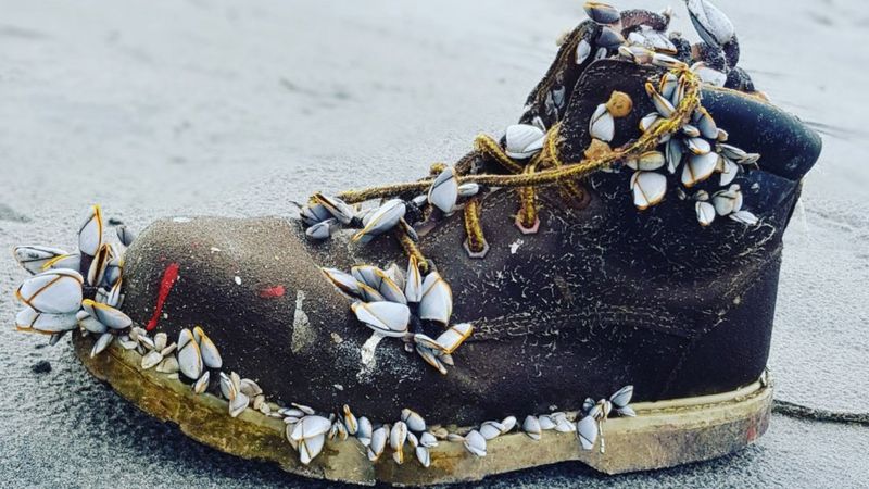 Your pictures of Scotland 7 - 14 February - BBC News