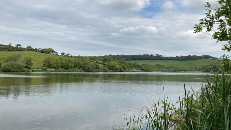 South West Water warns of low pressure due to demand - BBC News