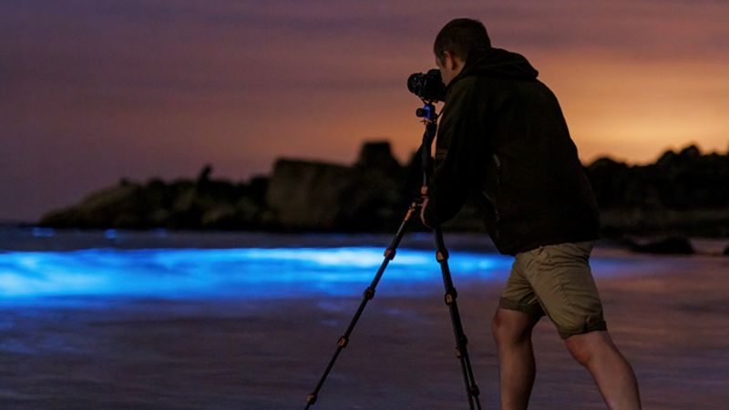 Bioluminescent plankton: 'It's the northern lights of the ocean' - BBC News