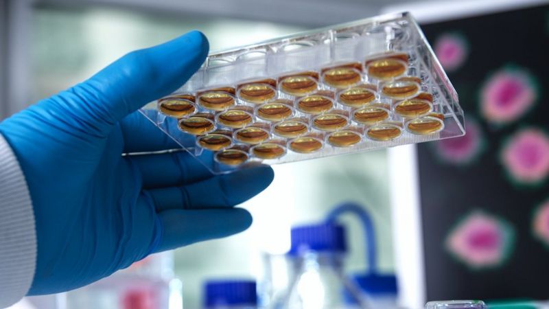 New antibiotic compound very exciting, expert says - BBC News