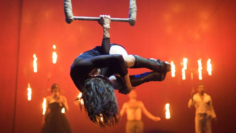 NoFit State Circus: How 'one more year' turned into 30 - BBC News