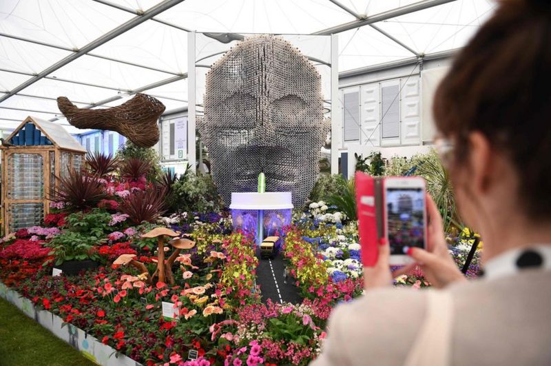 RHS Chelsea Flower Show 2019: In pictures - BBC News