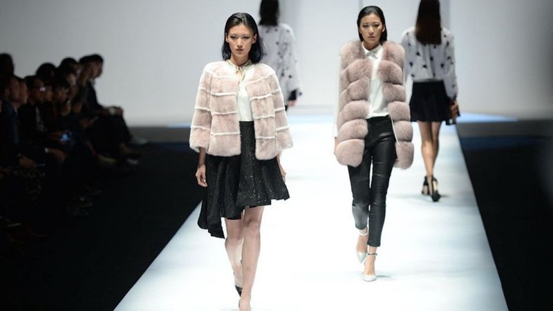 Fur industry faces uncertain future due to Covid - BBC News