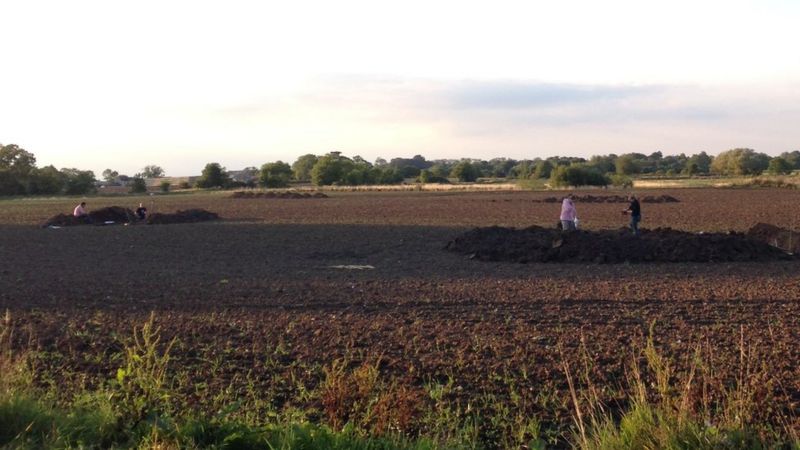 Anglo-Saxon 'island' unearthed in Lincolnshire field - BBC News