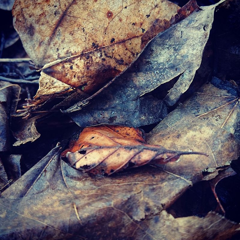 Your pictures of Scotland 9 - 16 April - BBC News