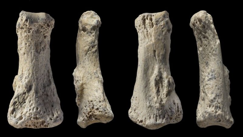 Finger bone points to early human exodus - BBC News